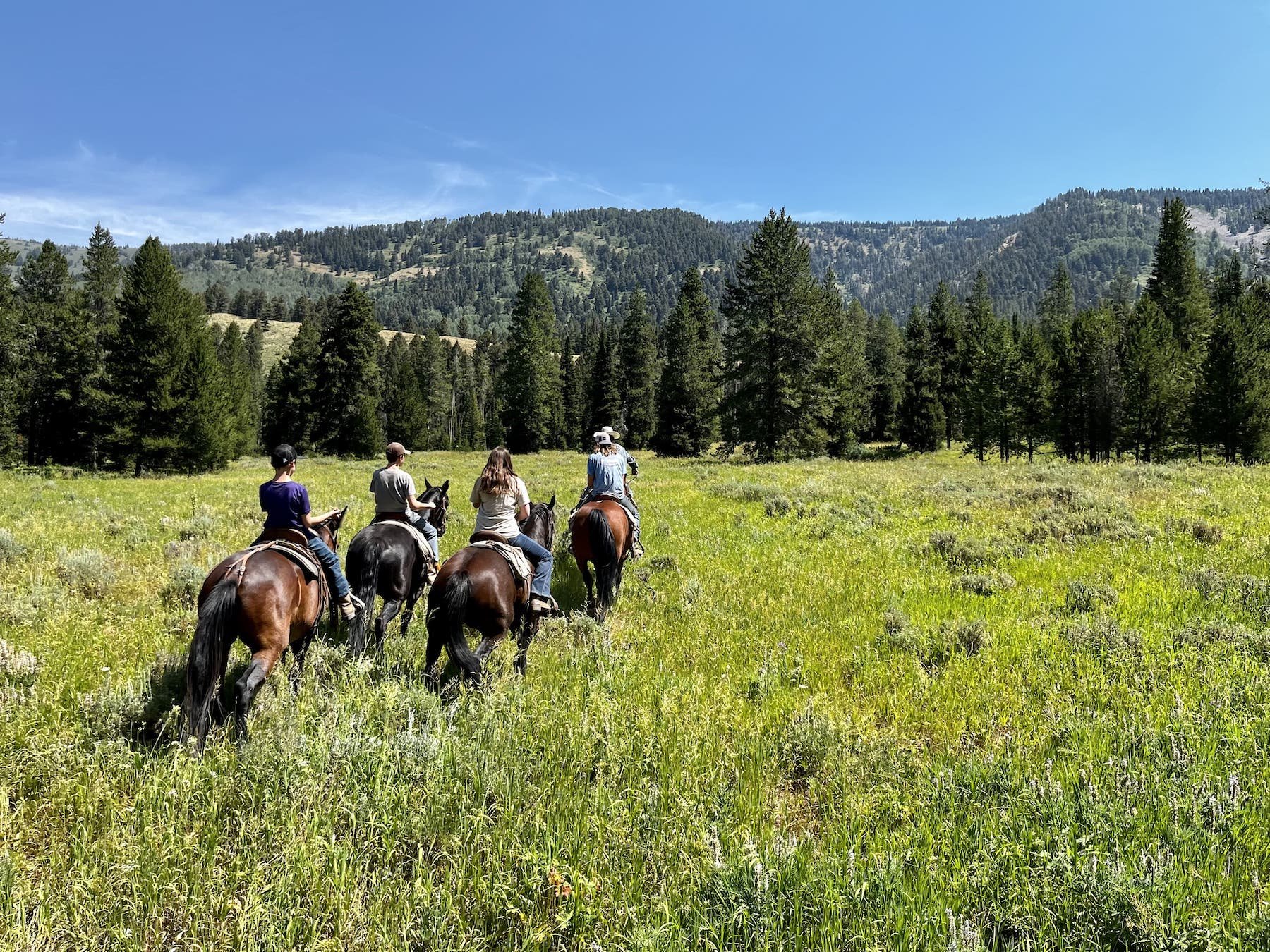 Jackson Hole Trail Rides - Jackson Hole Outfitters