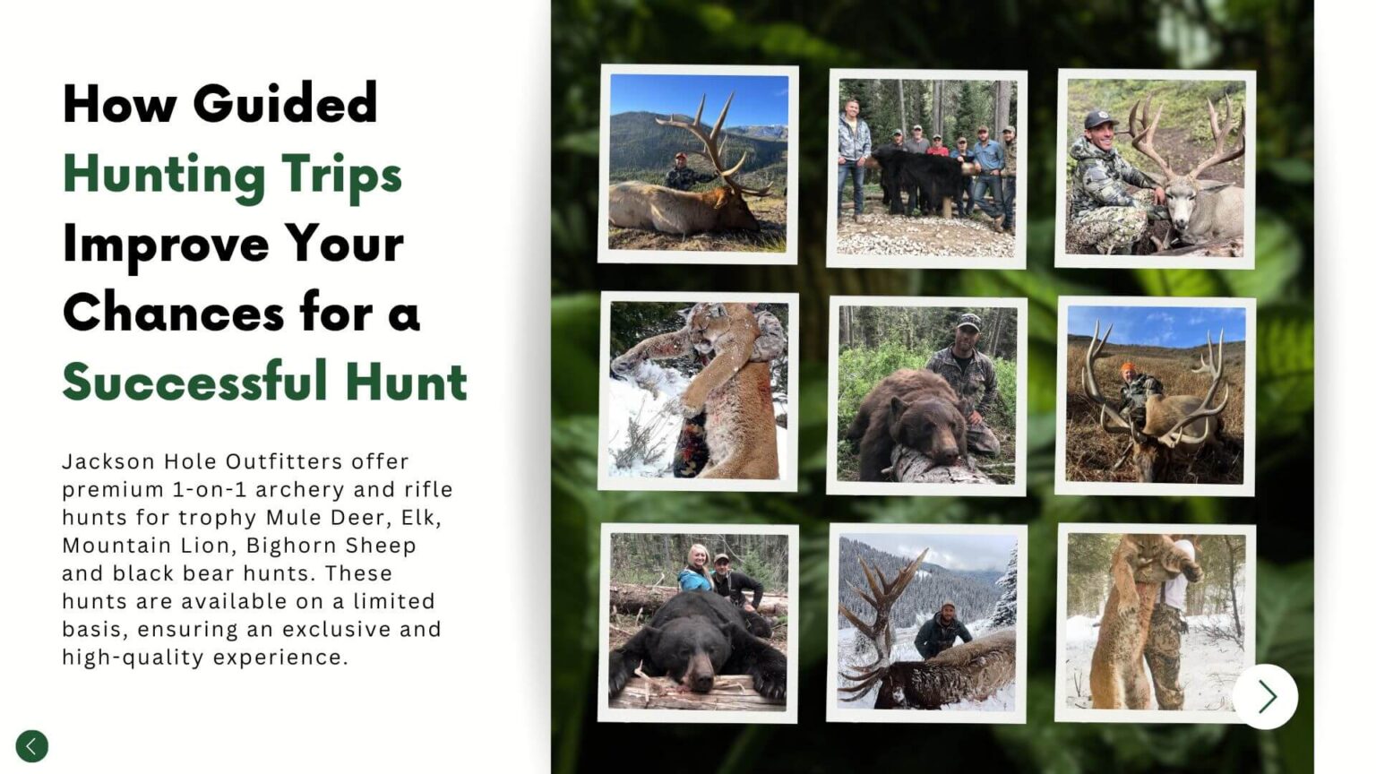 How Guided Hunting Trips Improve Your Chances for a Successful Hunt